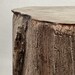 Concrete Palm Stump Side Table or Seat - Etsy