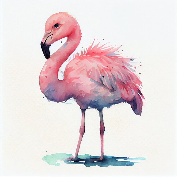 Flamingo Drawing