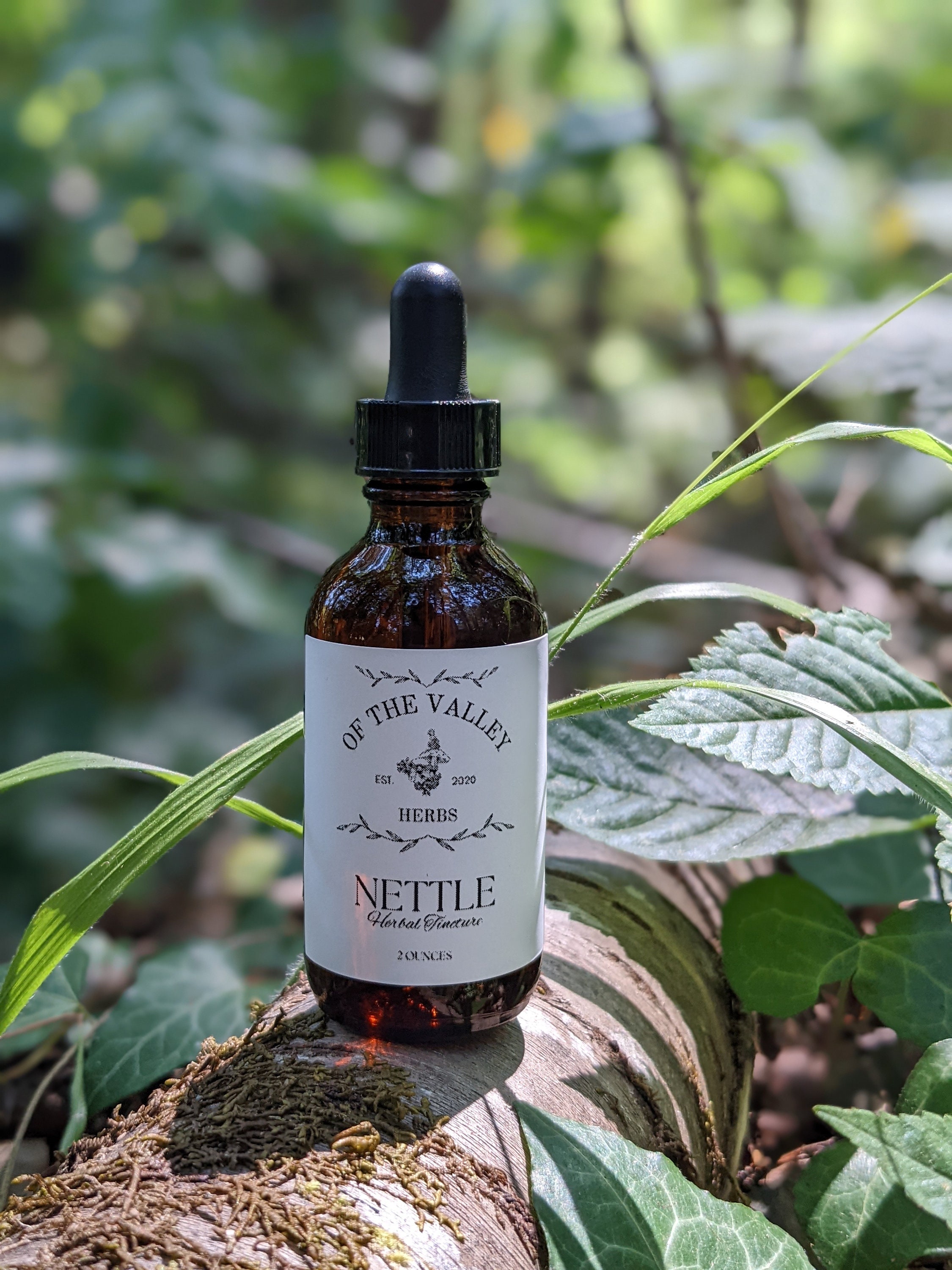 Stinging Nettle Tincture Made With Fresh Wildcrafted Nettles, Urtica ...