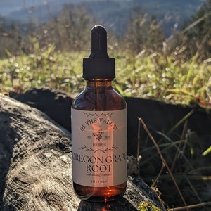 Oregon Grape Root Tincture (berberis Nervosa), Wildcrafted Oregon Grape ...