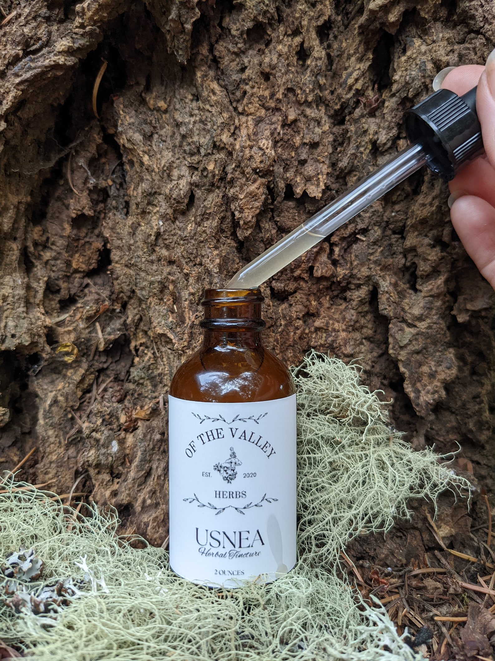 Usnea Tincture Double Extract, Made With Fresh Wildcrafted Lichen, Old ...