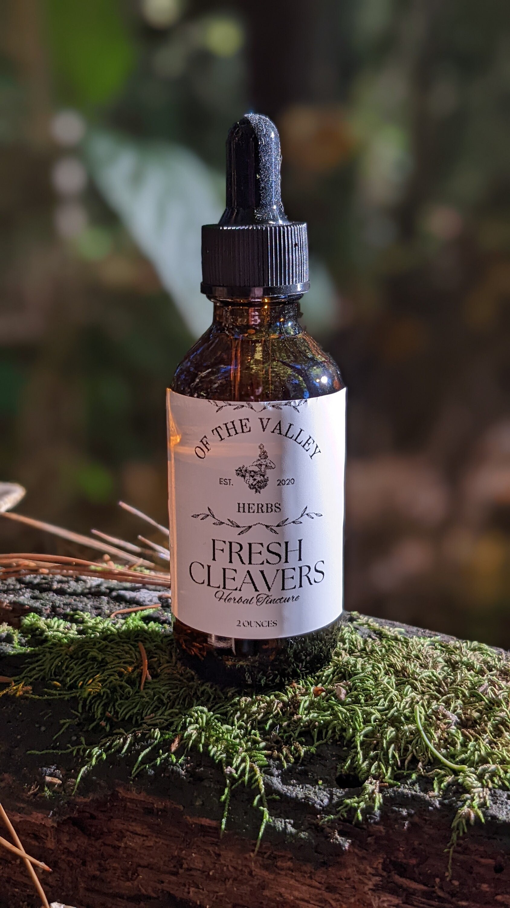 Cleavers Tincture Made With Fresh Wildcrafted Cleavers, Galium Aparine ...