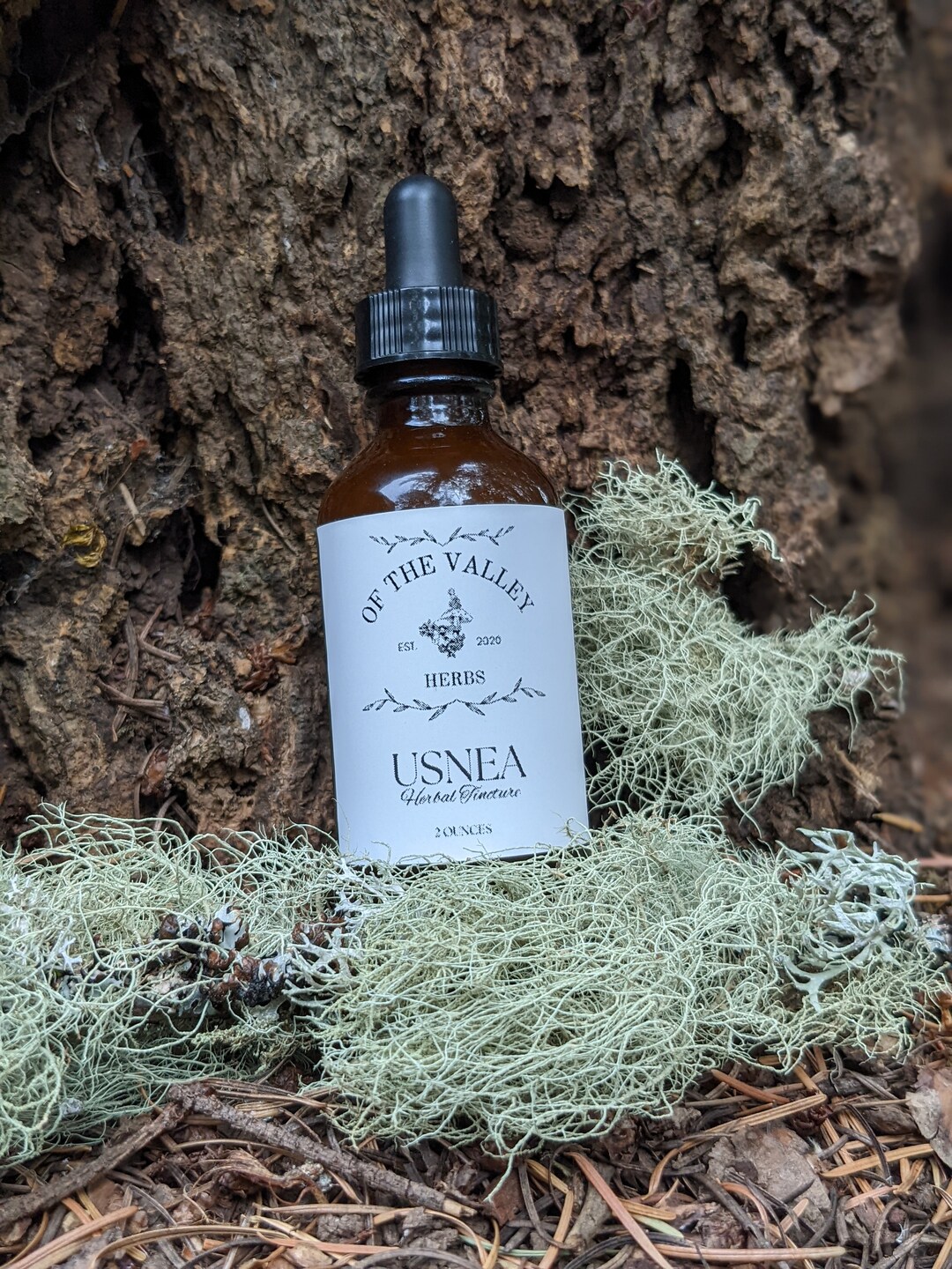 Usnea Tincture Double Extract, Made With Fresh Wildcrafted Lichen, Old ...