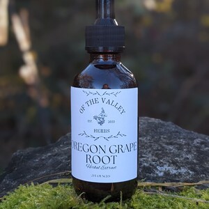 Oregon Grape Root Tincture (berberis Nervosa), Wildcrafted Oregon Grape ...