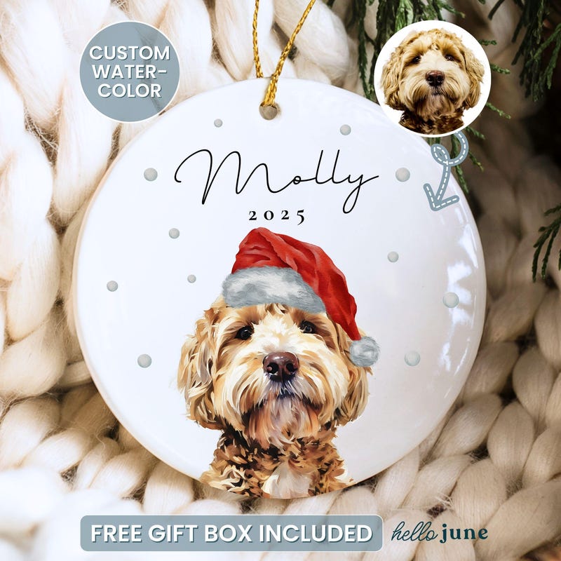 Dog Photo to Doodle - Etsy