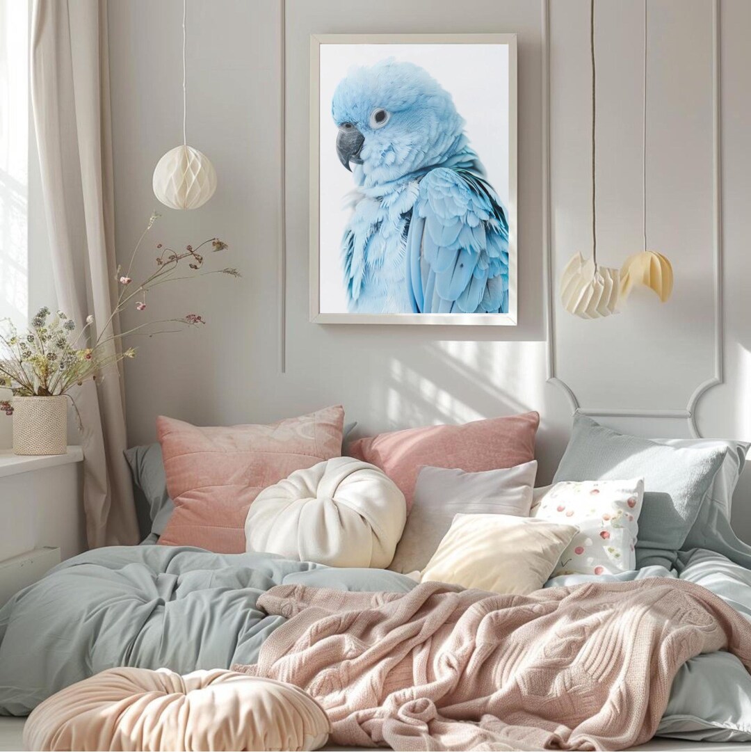 Blue Parrot Wall Art Bird Photo Poster Parrot Print Quaker Parrot Art ...