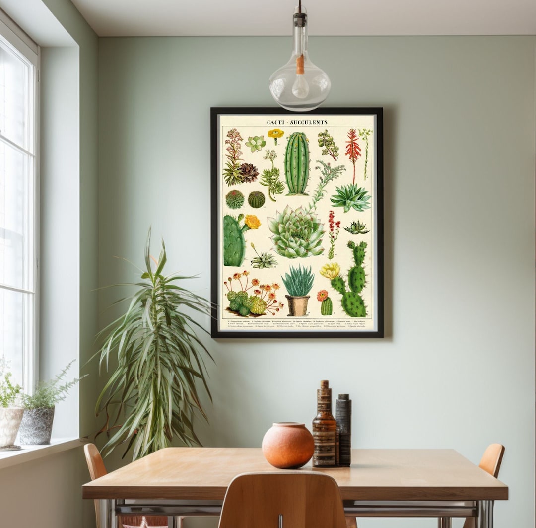 Vintage Cactus Poster, Botanical Illustration Print, Vintage Cactus ...
