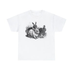 Antique Bunnies Shirt With Bunnies Illustration 1800s Image Shirt ...