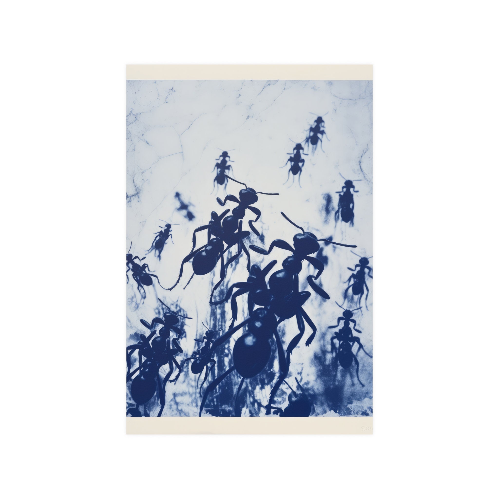 Art mural fourmis Impression photo fourmis Art mural fourmis imprimé ...