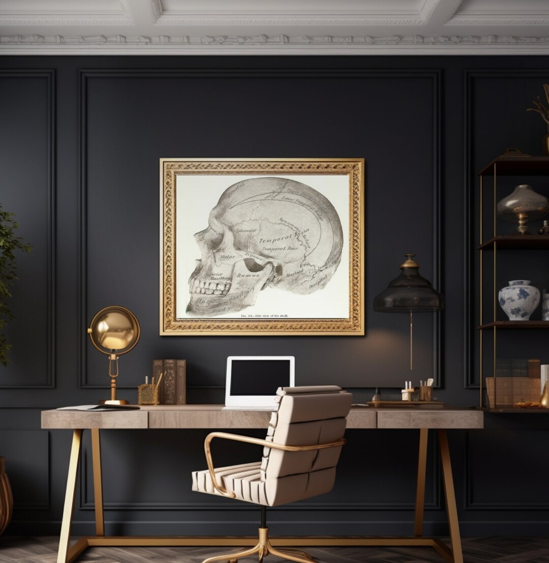 Antique Skull Image Poster, Vintage Skull Poster, Vintage Skull Print ...