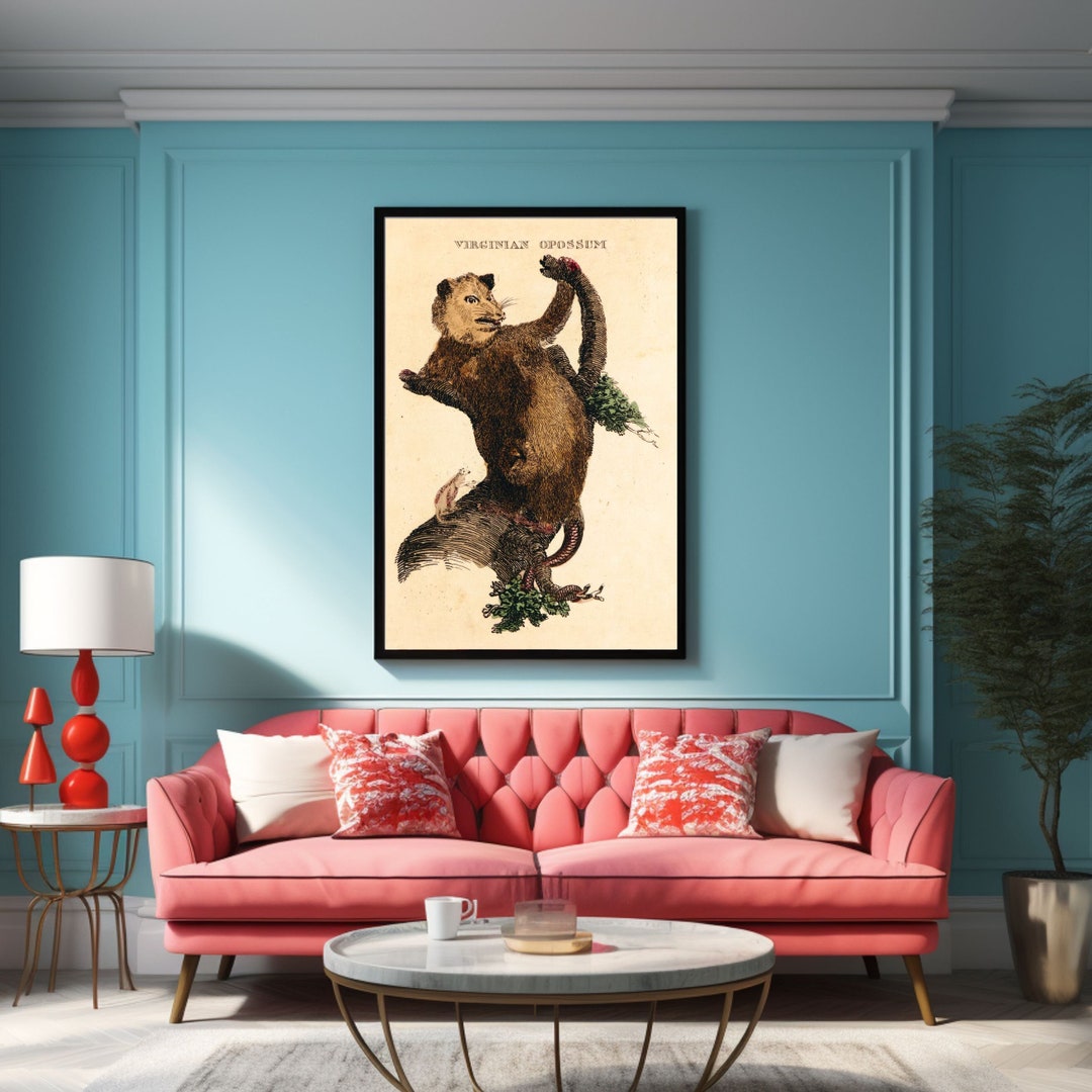 Antique Opossum Print Vintage Virginian Opossum Art Poster - Etsy