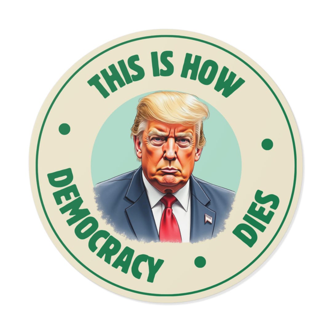 This is How Democracy Dies Sticker | Round Vinyl Sticker - Etsy