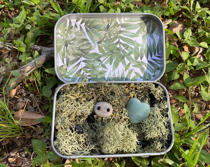 Adopt a PEBBLE PAL W/ Botanical & Nature Backgrounds Tin Terrarium Moss ...
