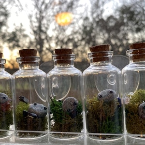 Adopt a TINY PEBBLE PAL W/ Crystal Moss Cork Jar Home! Handmade Tiny ...
