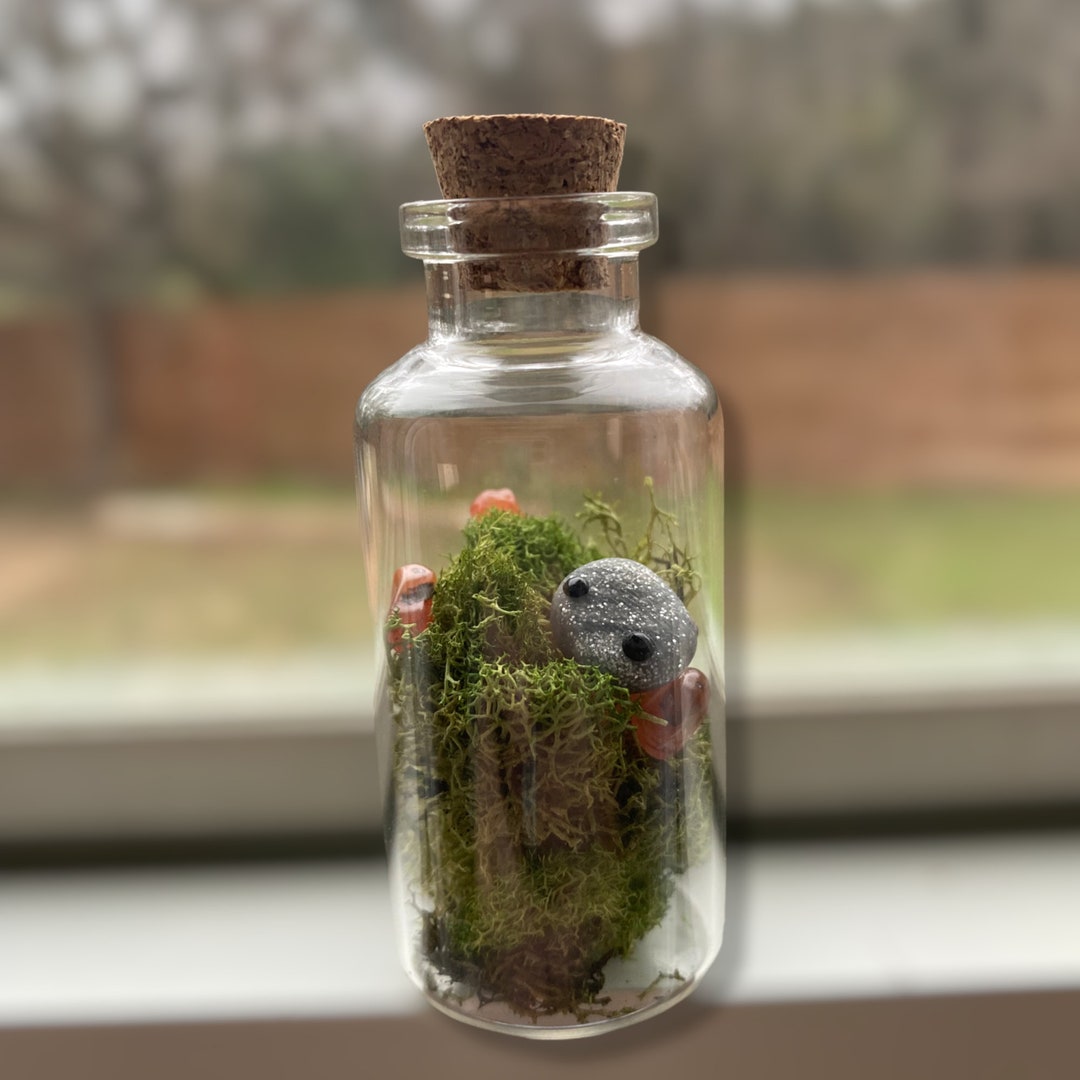 Adopt a TINY PEBBLE PAL W/ Crystal Moss Cork Jar Home! Handmade Tiny ...