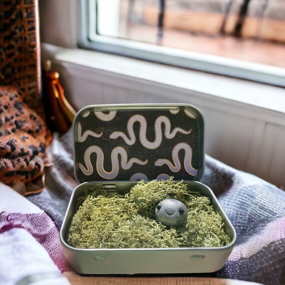 Pet Rock Home