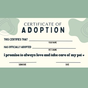 Buy BABY ROCK! Magnetic W/ Adoption Certificate! Adopt an Adorable Desk ...
