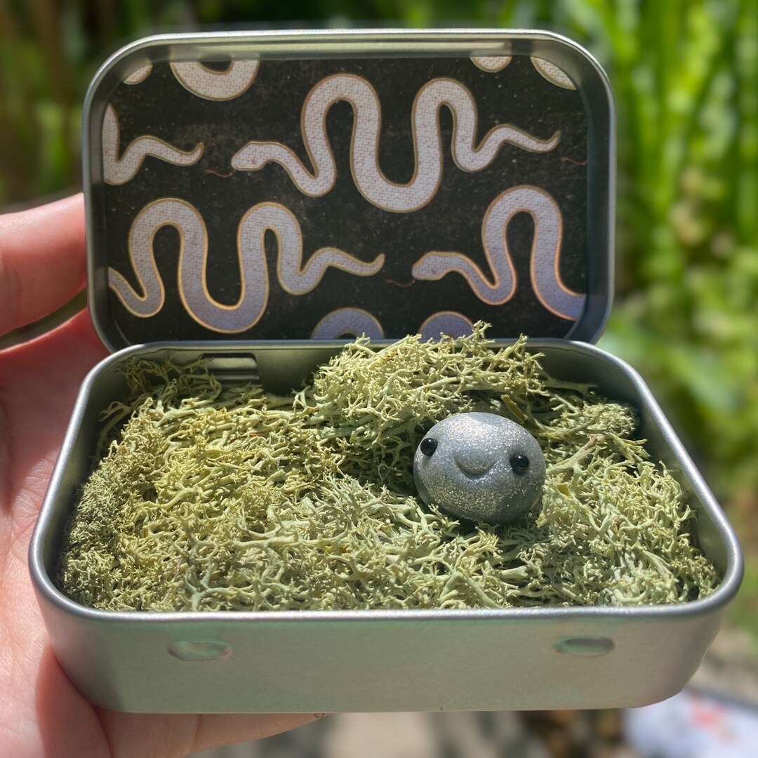 Adopt an Adorable PET ROCK With Snake Motif Terrarium Home Goth Gift ...