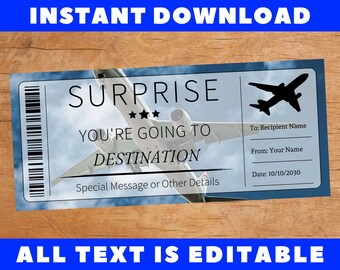 Plane Boarding Pass Birthday Gift Ticket Template Airplane Flight Gift ...