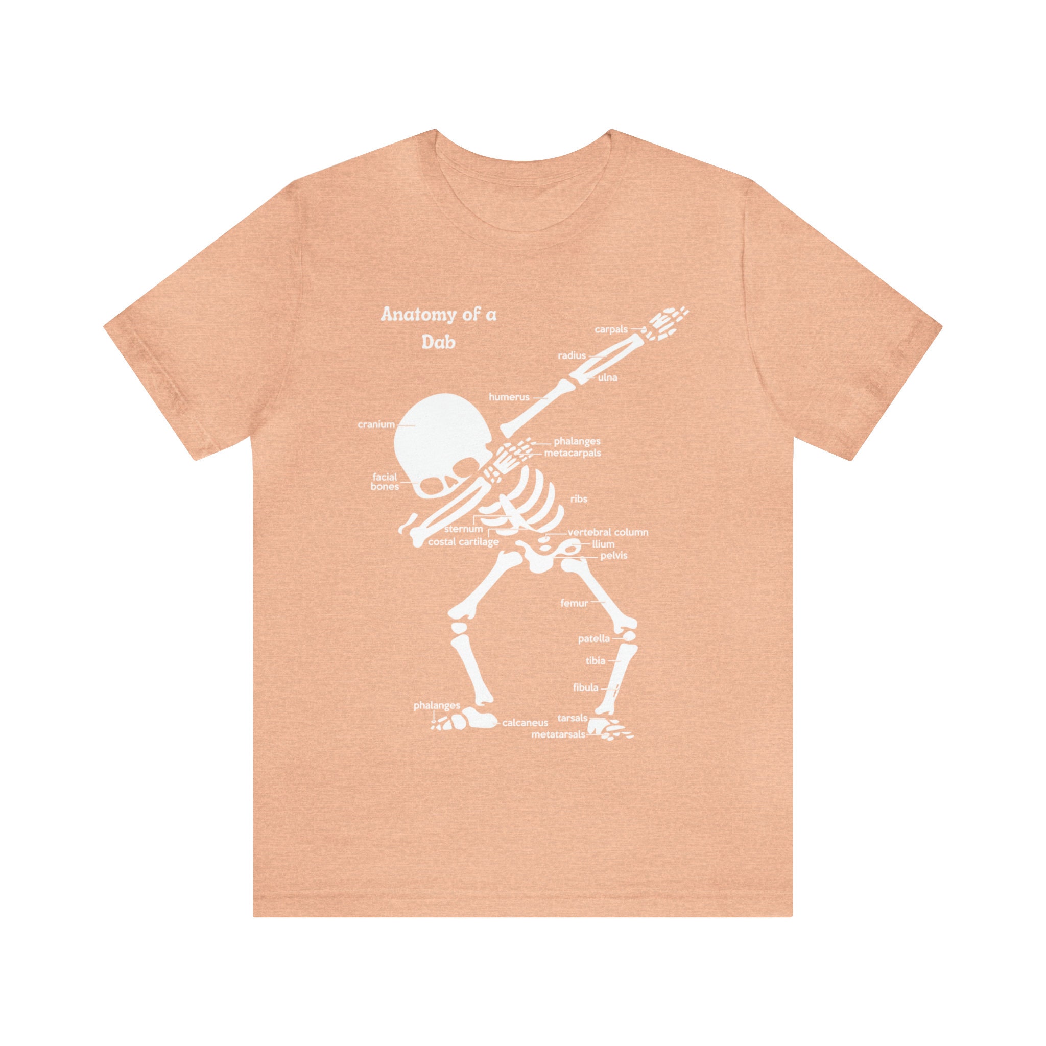 Anatomy of a Dab Skeleton Funny Skeletal Anatomy Medical - Etsy