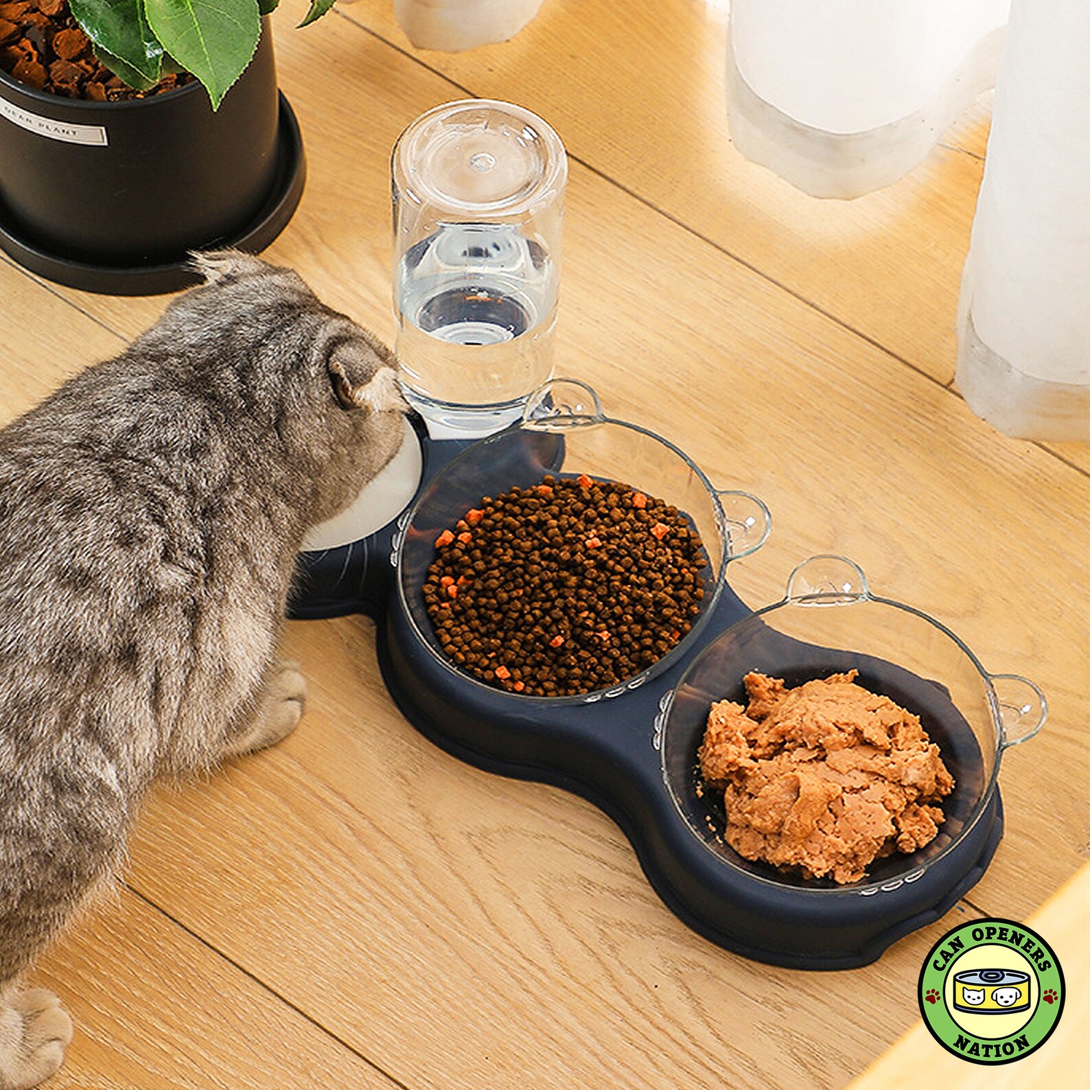 Double Cat Food Bowl, 3 in 1 Automatic Pet Feeding Station, Tilted ...