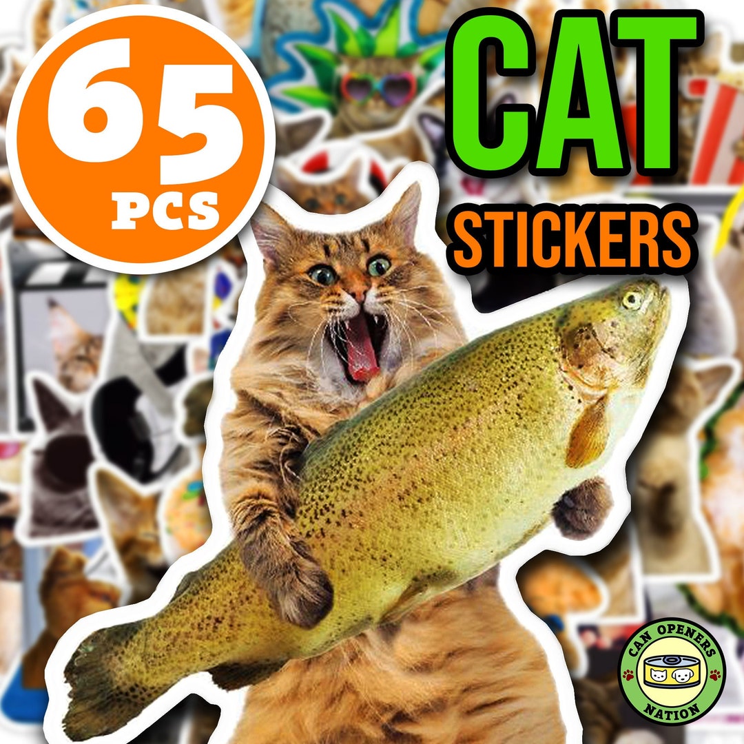 65PCS Cat Funny Stickers Cute Meme Vinyl Waterproof Cat - Etsy