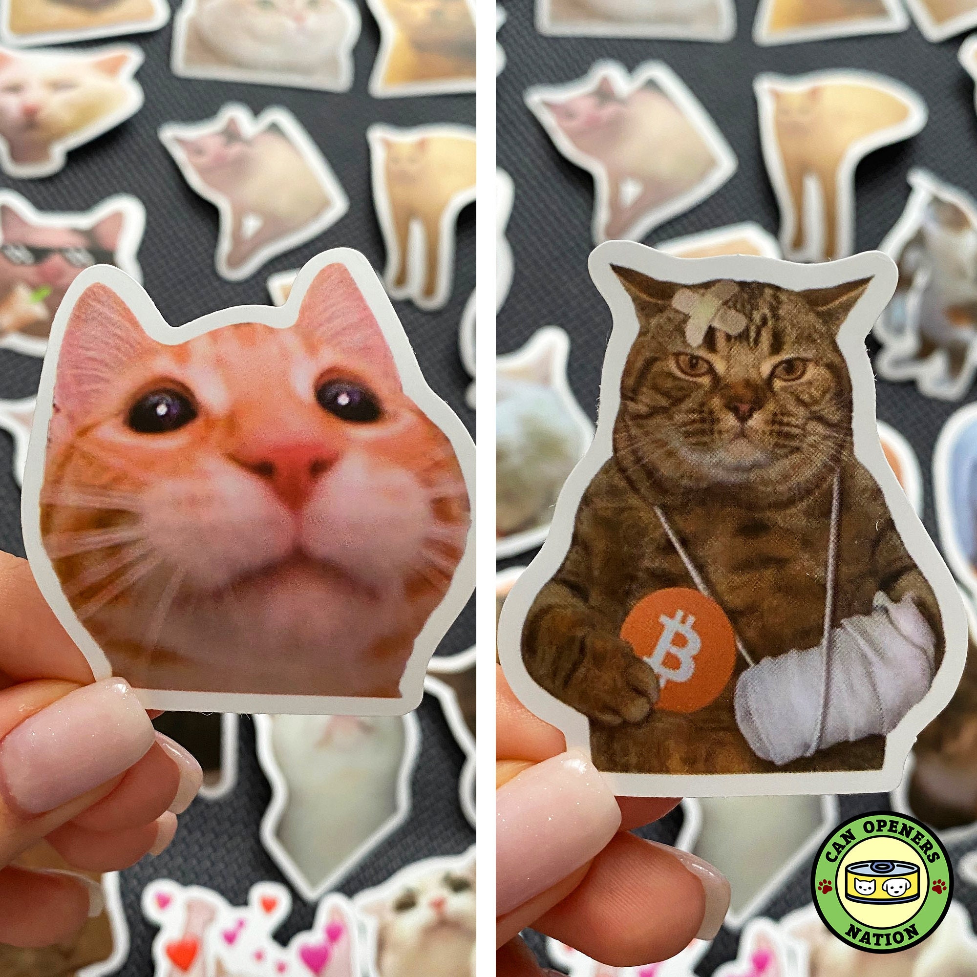 50PCS Cute Cat Stickers Cat Meme Vinyl Waterproof Funny - Etsy