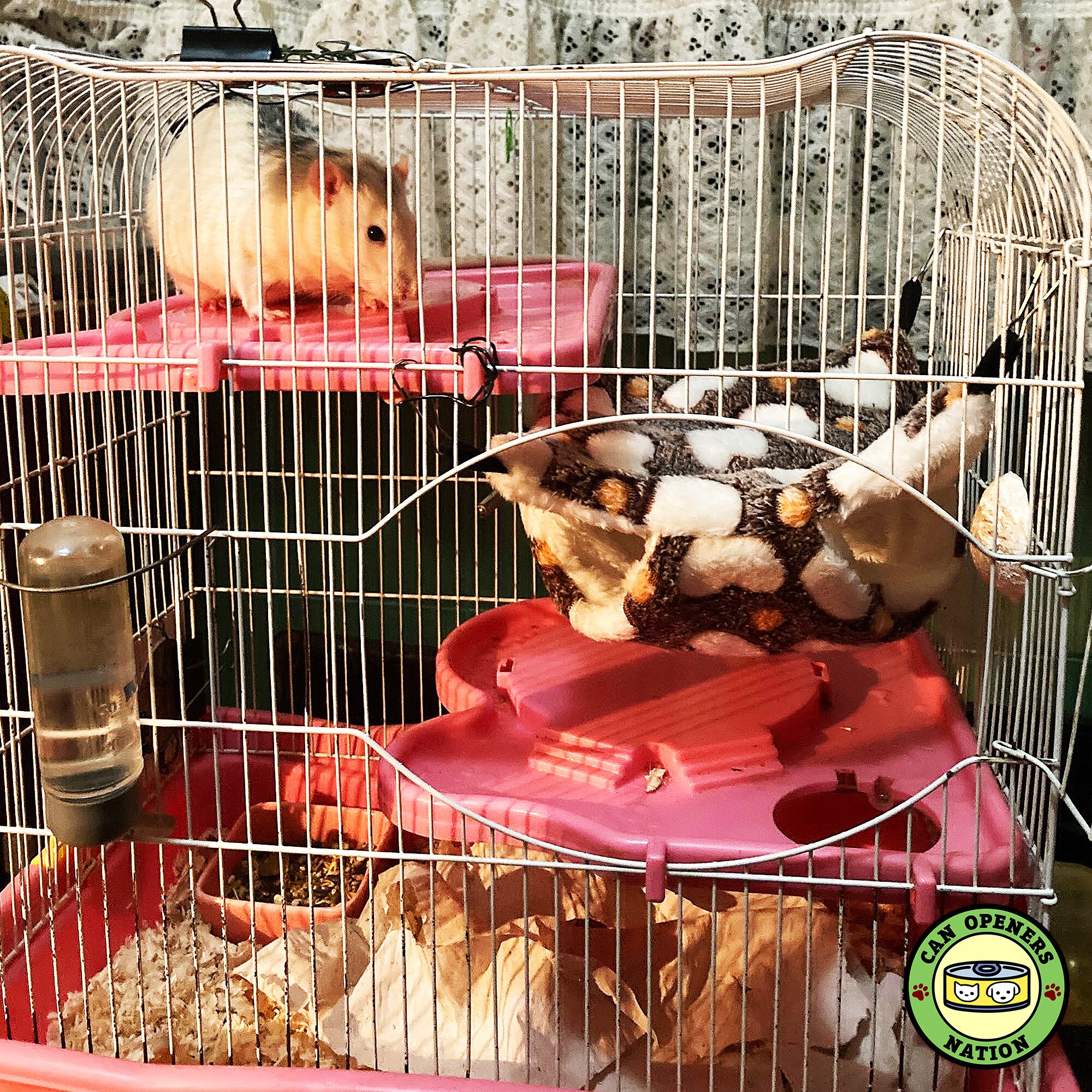 Hamster, Guinea Pig, Rat, Mouse, Gerbil Hammock, Hanging Warm House ...