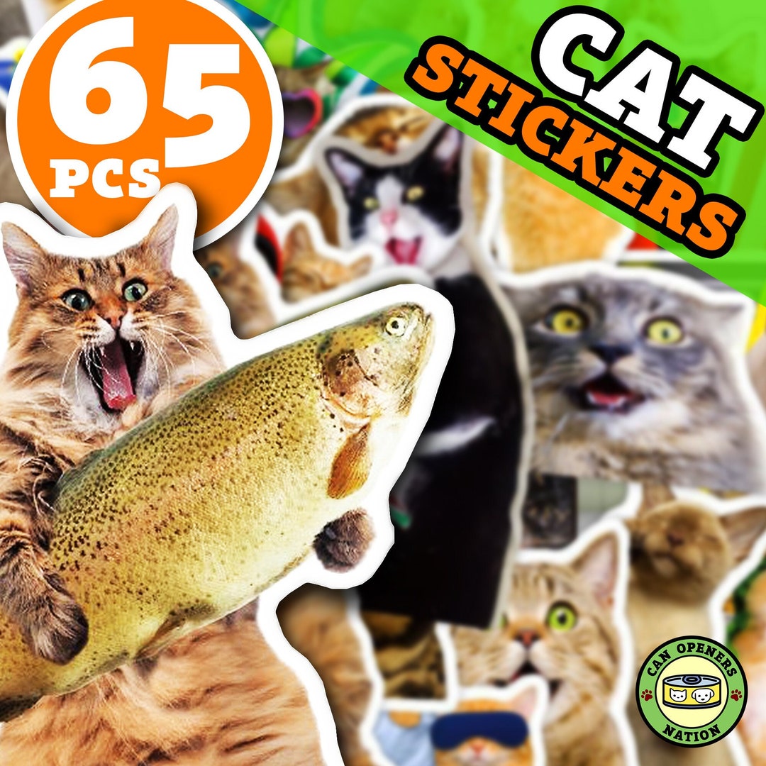 65PCS Meme Cat Stickers Funny Vinyl Waterproof Cat Decals - Etsy