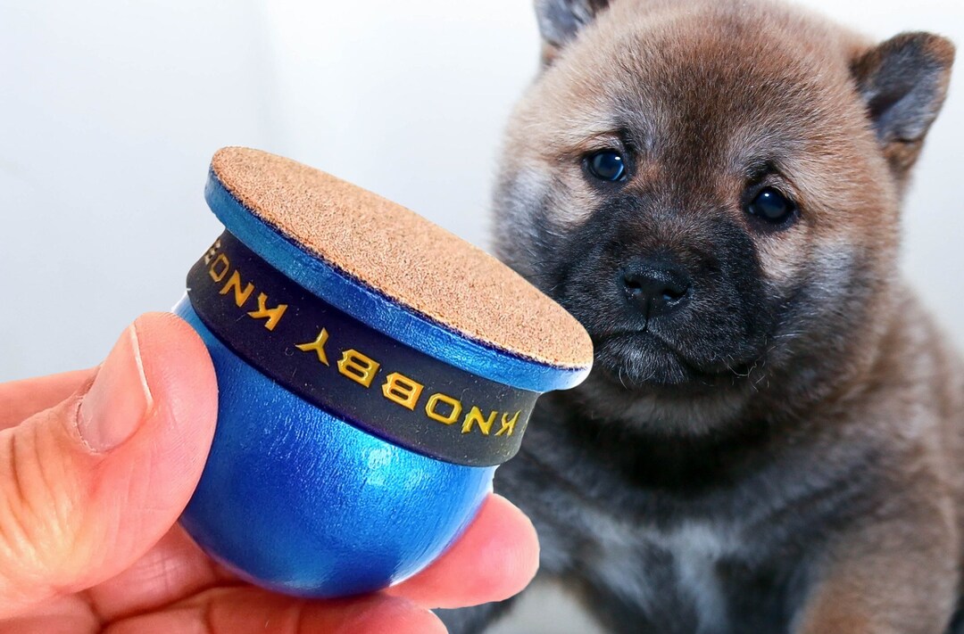 Puppy Nail File, Knobby Mini File, Trims Nails for Puppies, Tiny Dogs ...