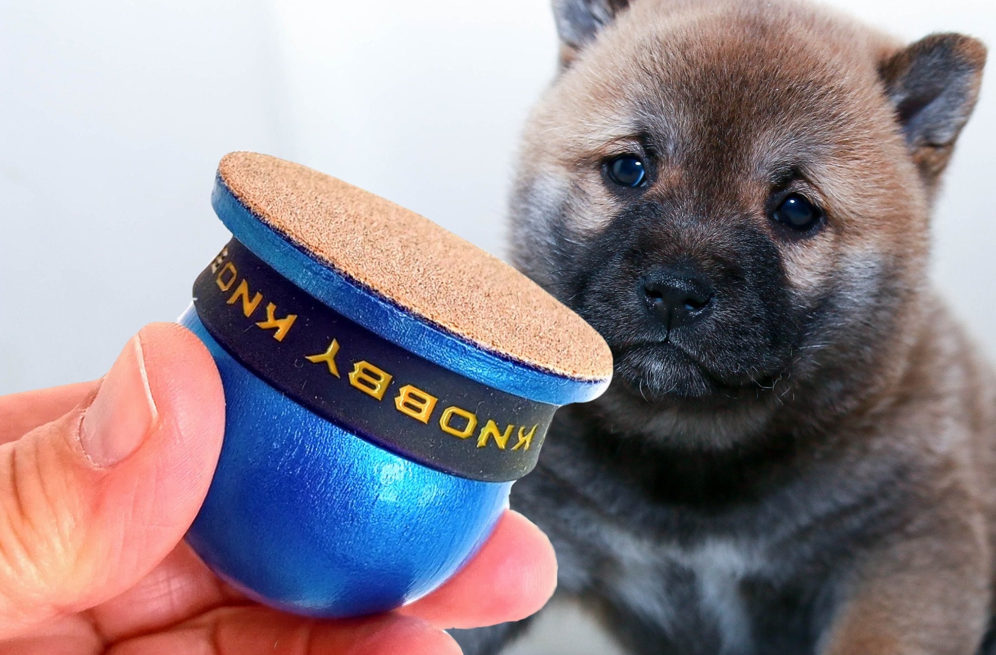 Puppy Nail File, Knobby Mini File, Trims Nails for Puppies, Tiny Dogs ...