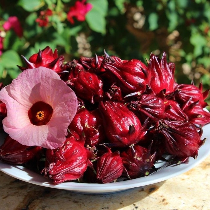 Premium Organic Dried Roselle Hibiscus Flowers Vibrant Red, Tart and Tangy - Etsy
