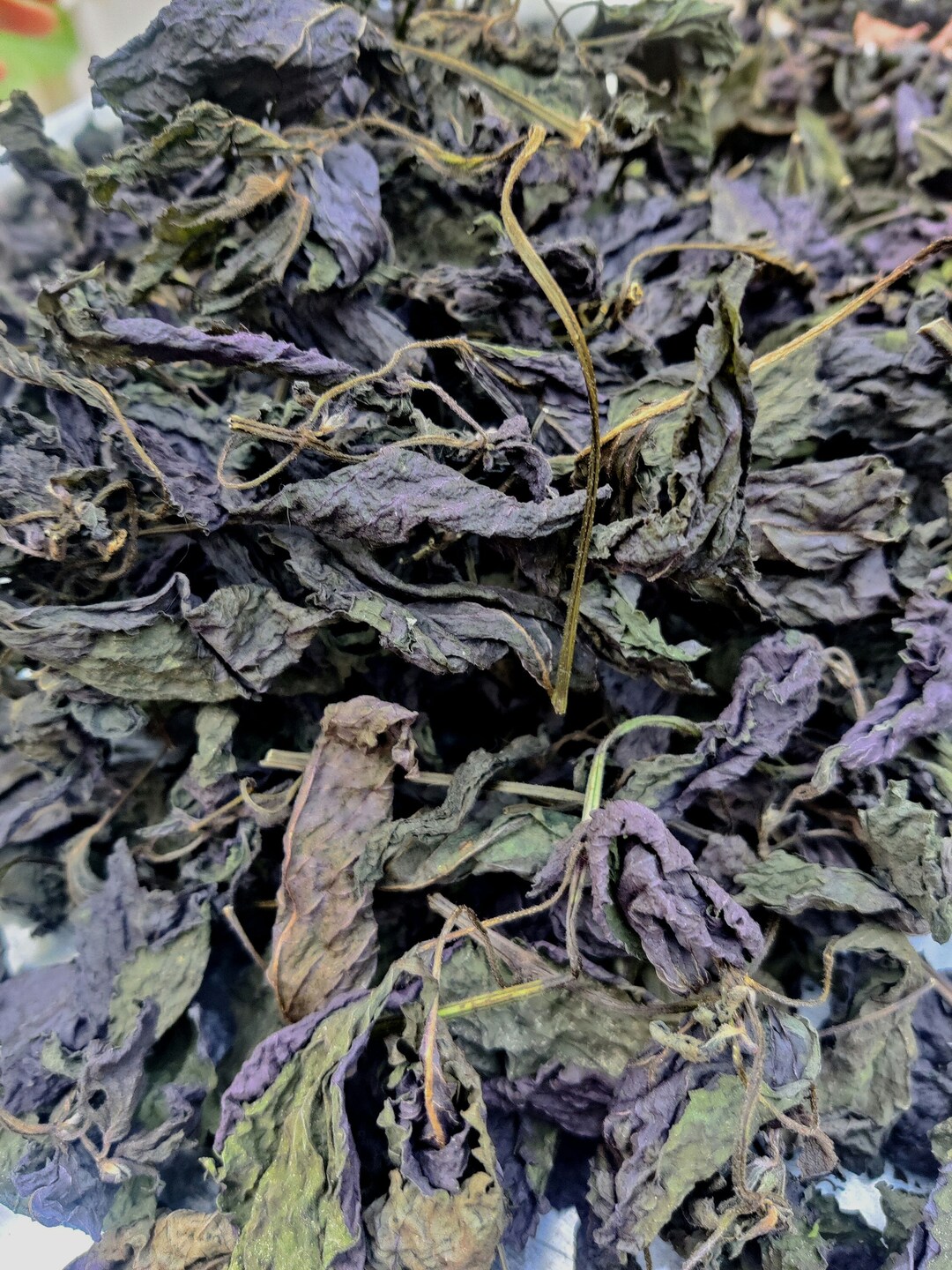 Organic Dried Perilla Leaves, Dried Shiso Herbs Leaves, Beefsteak ...