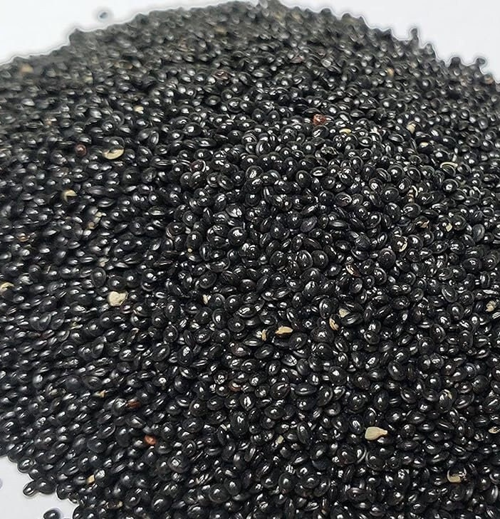 Red Stripe Leaf Amaranth Seeds Easy to Grow Plentiful - Etsy