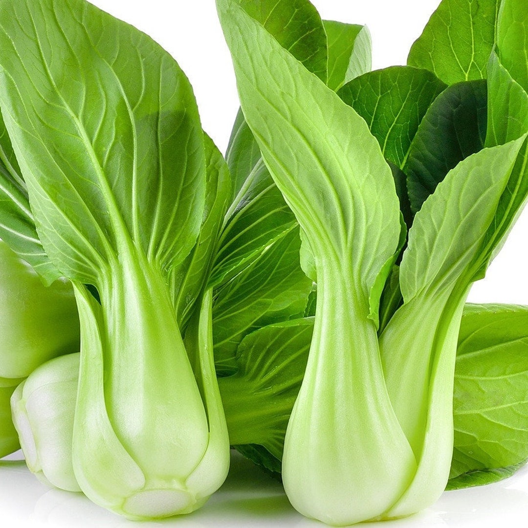Cabbage Pak Choi Vegetable Seeds, Cai Thia Seeds, Bok Choi, Heirloom ...