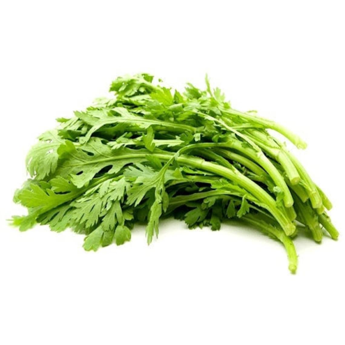 Crown Daisy Vegetable Seeds, Chrysanthemum Green Seeds, Edible ...