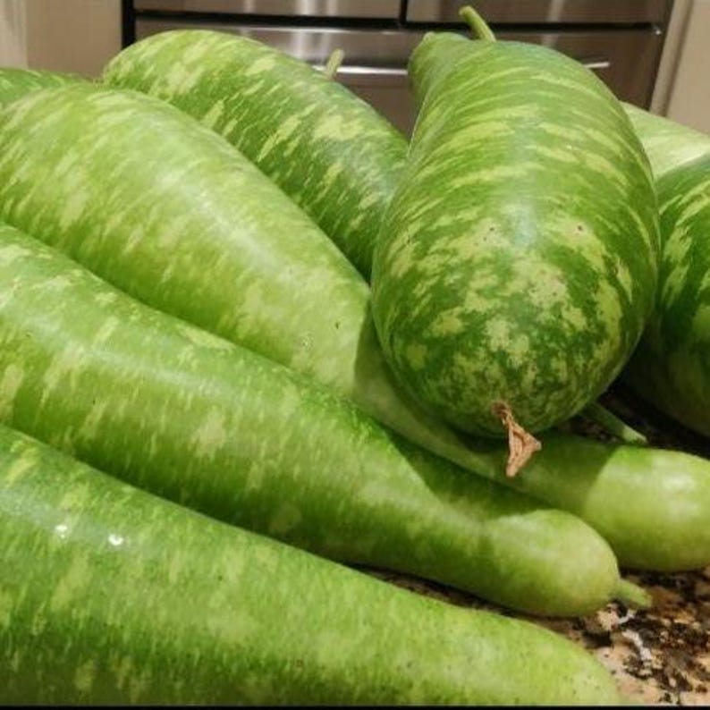 Bottle Gourd Seeds – Heirloom, Non-gmo, High Yield, Easy to Grow, High ...