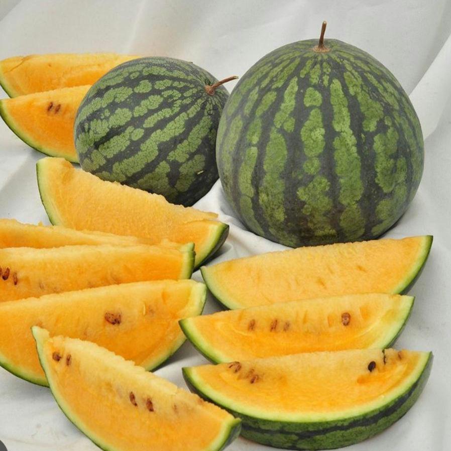 Orange Tendersweet Watermelon Seeds, Heirloom, Non-gmo - Etsy