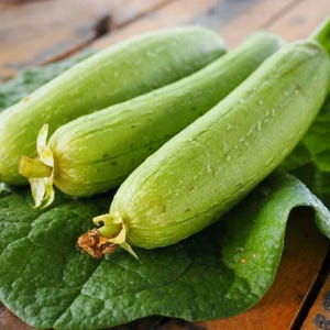 Smooth Luffa Gourd Seeds - Vietnam Muop Huong, Vegetable Sponge Seeds ...