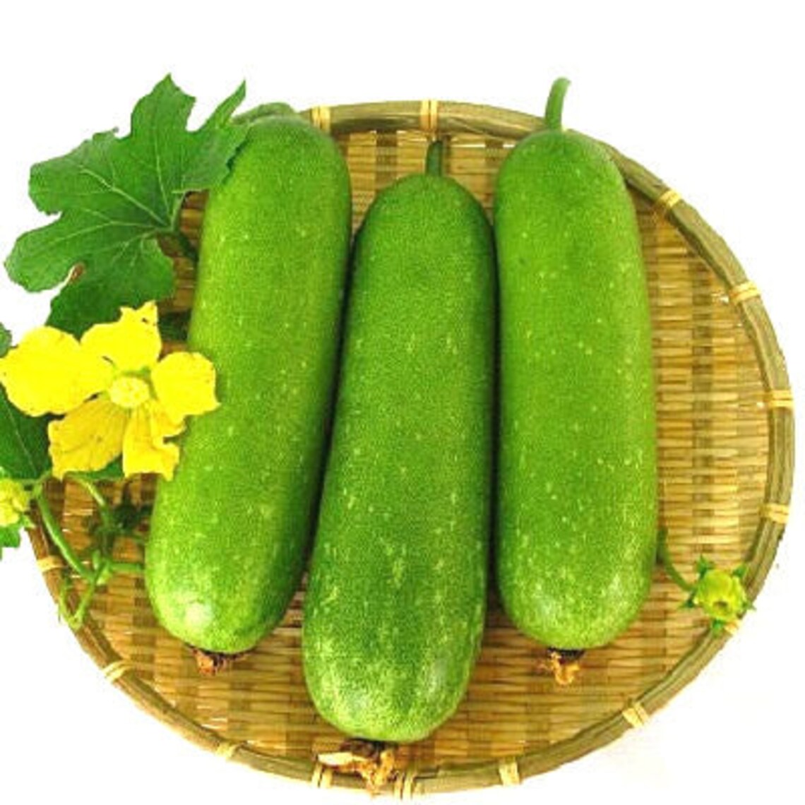 Winter Melon Seeds – Hairy Gourd, High Germination Heirloom Vegetable ...