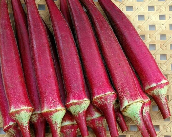 Red Okra Seeds - Etsy