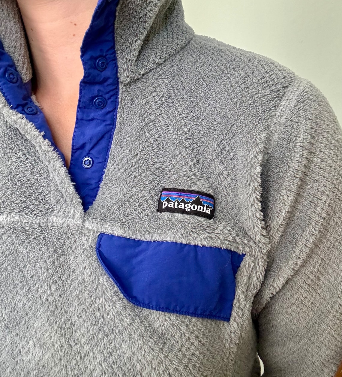 Patagonia Fleece, Patagonia Button up Sweatshirt, Patagonia Quarter ...