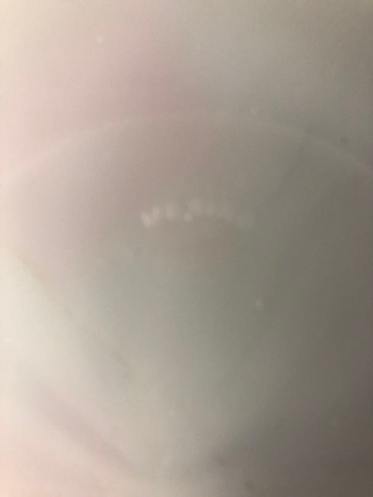 Termocrisa White Milk Glass Plates | Set of 3 | Made in Mexico | Floral ...