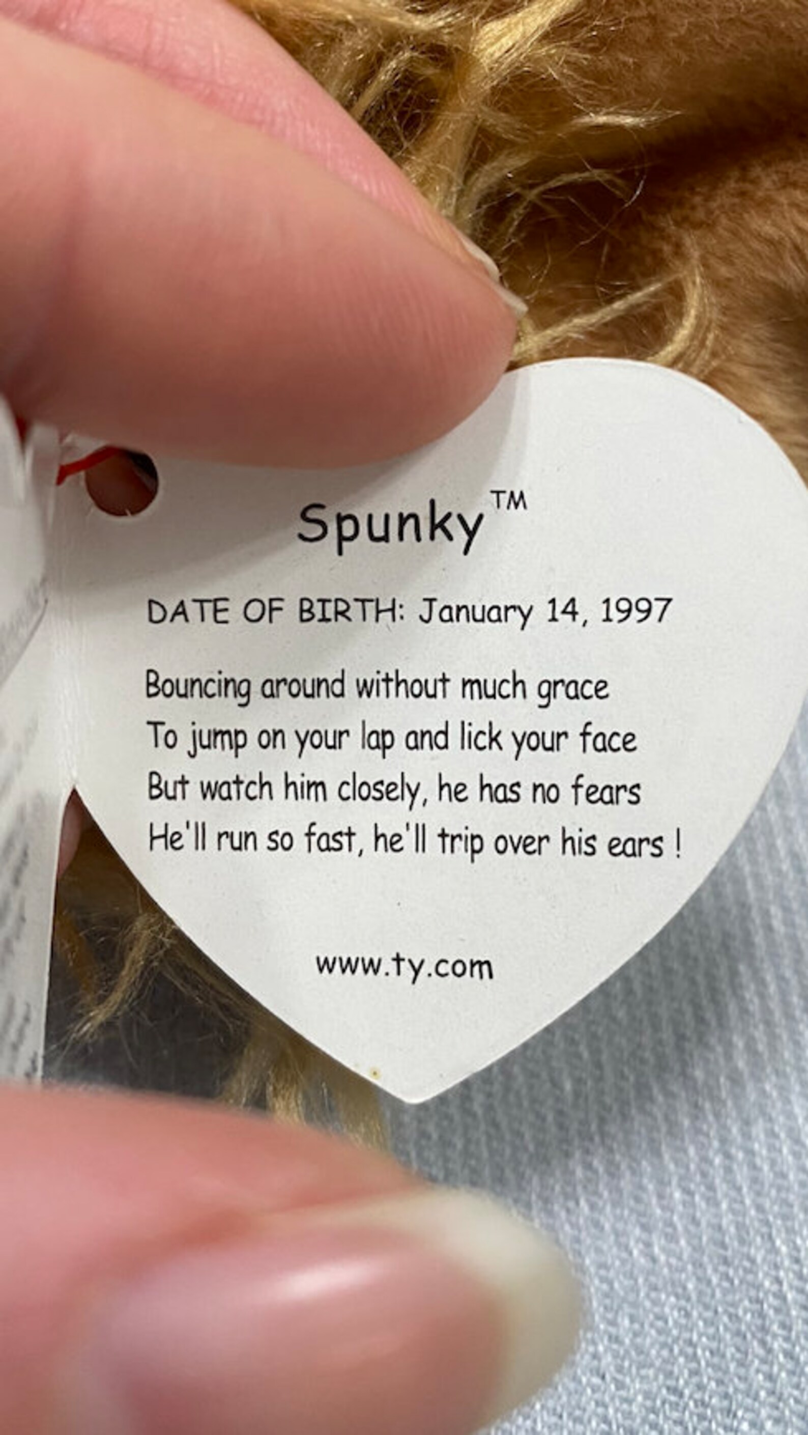 Ty Beanie Baby Spunky the Cocker Spaniel 1997: Retired and Rare With ...