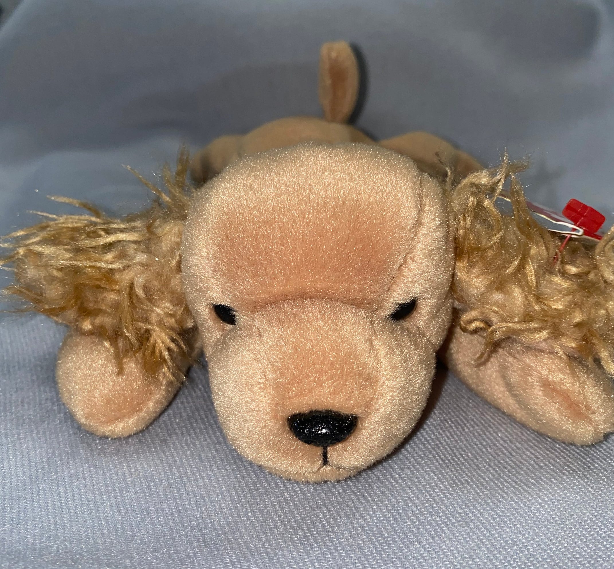 Ty Beanie Baby Spunky the Cocker Spaniel 1997: Retired and Rare With ...