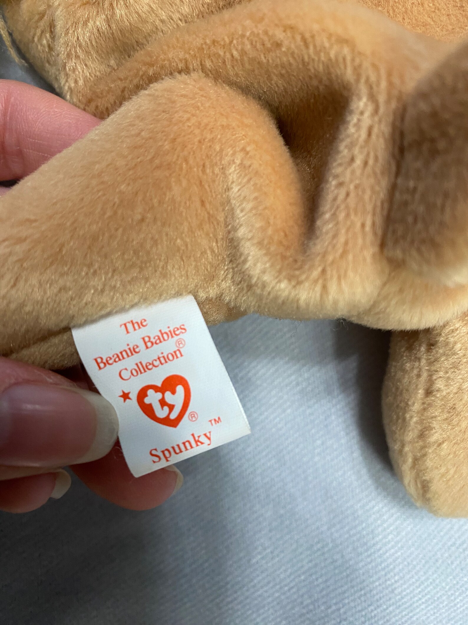 Ty Beanie Baby Spunky the Cocker Spaniel 1997: Retired and Rare With ...