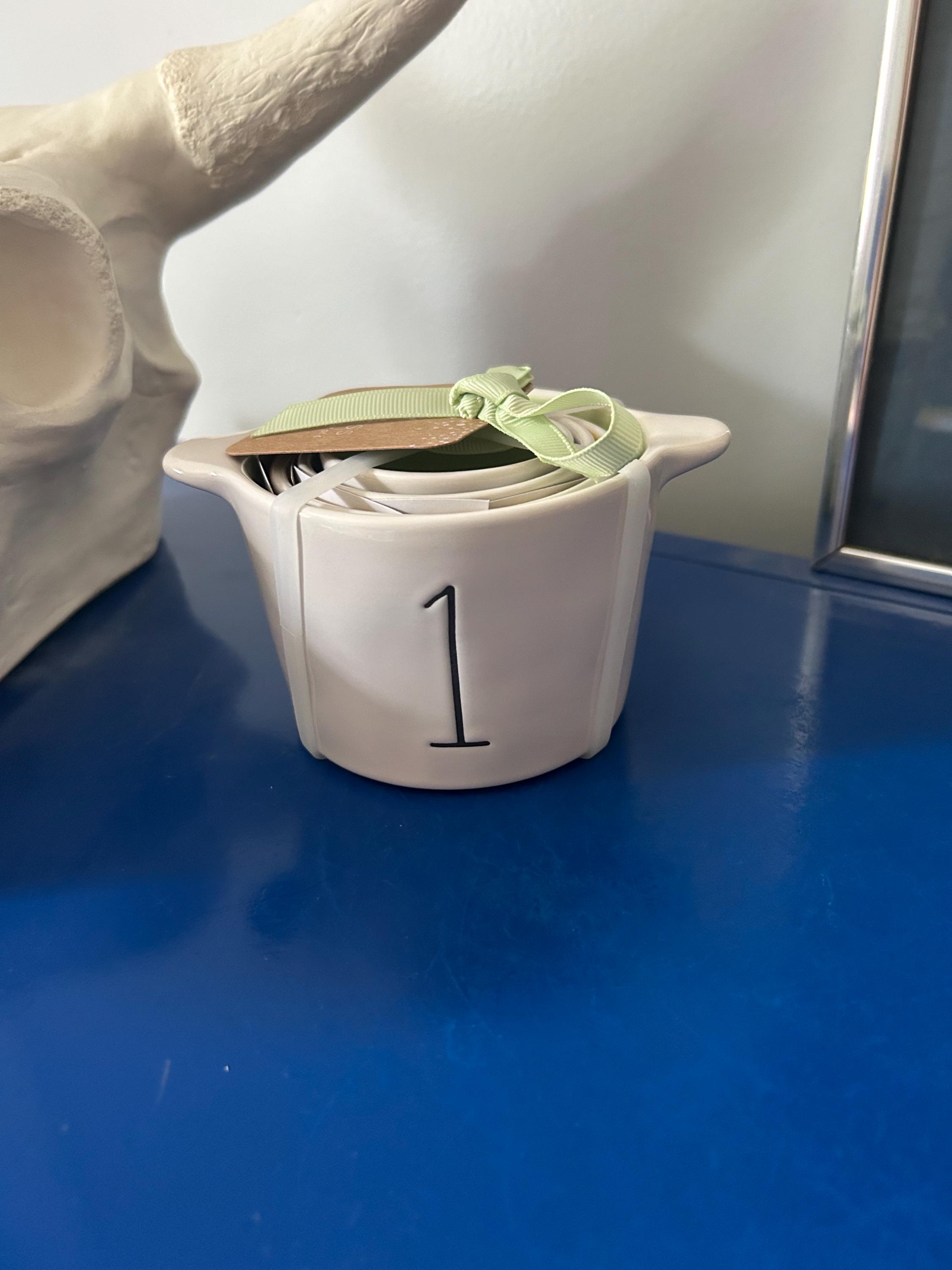 Rae Dunn Disney Princess and the Frog Tiana Prince Naveen Ray Measuring ...