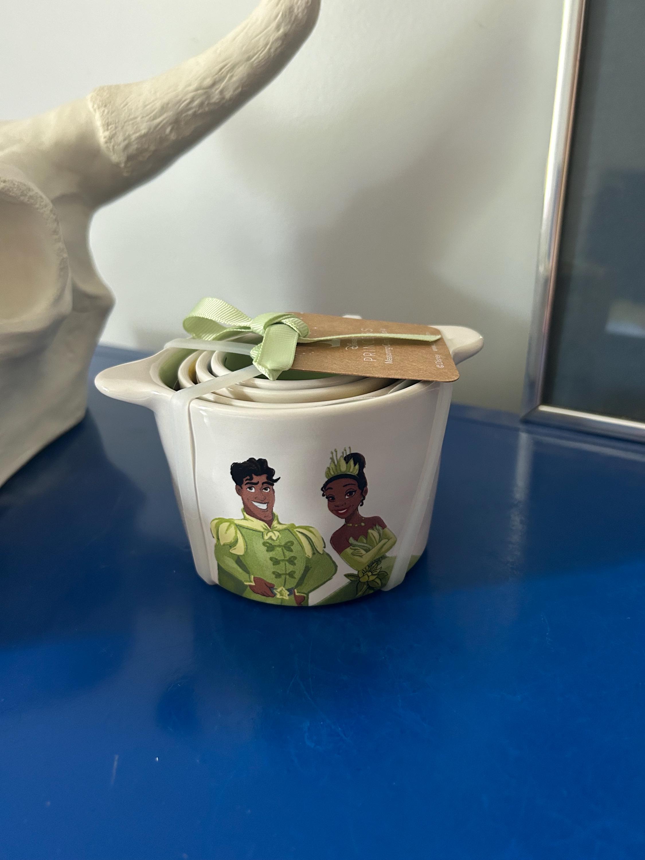 Rae Dunn Disney Princess and the Frog Tiana Prince Naveen Ray Measuring ...