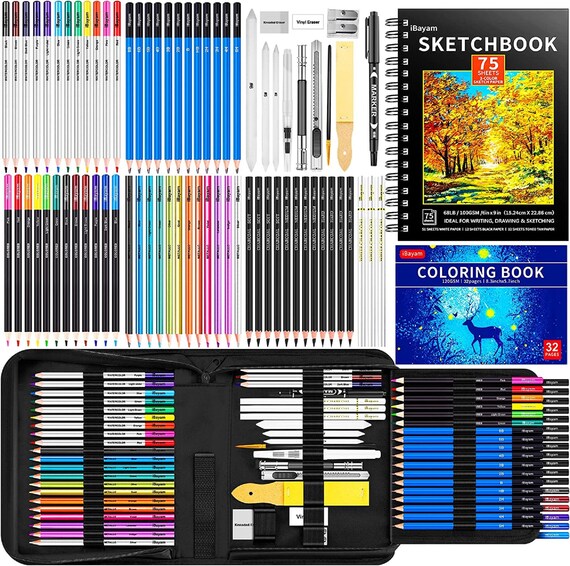 Professional Art Supplies Kit