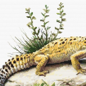Leopard Gecko Cross Stitch Pattern - Realistic Gecko Lizard on Rock With Succulents Design ...